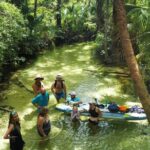 Rainbow Springs Clear Kayak and Paddleboard Rentals - Starting Point: KP Hole Park