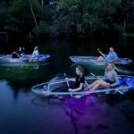 Rainbow Springs: Clear Kayak Sunset & Glow Tour - The Sum Up