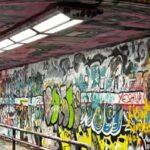 Raleigh Full Day Historian-Guided Driving and Walking Tour - What Sets This Tour Apart?