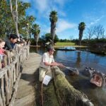 Ranger Mystery Tour at Werribee Open Range Zoo - excl. entry - What You Can Expect During the 45 Minutes
