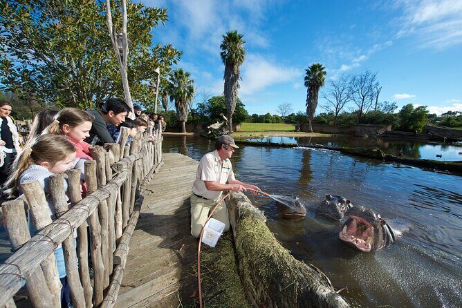 Ranger Mystery Tour at Werribee Open Range Zoo - excl. entry - What You Can Expect During the 45 Minutes