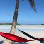 Rangiroa: Blue Lagoon Tiputa Pass Coral Garden Island Birds - What Makes This Tour Stand Out