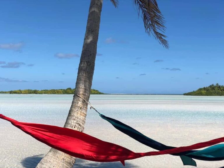 Rangiroa: Blue Lagoon Tiputa Pass Coral Garden Island Birds - What Makes This Tour Stand Out