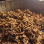 Real Mezcal Adventure - Authentic Experiences and What You’ll Learn