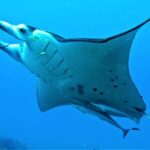 Reef Discovery Half Day Group Signature Tour - Final Thoughts