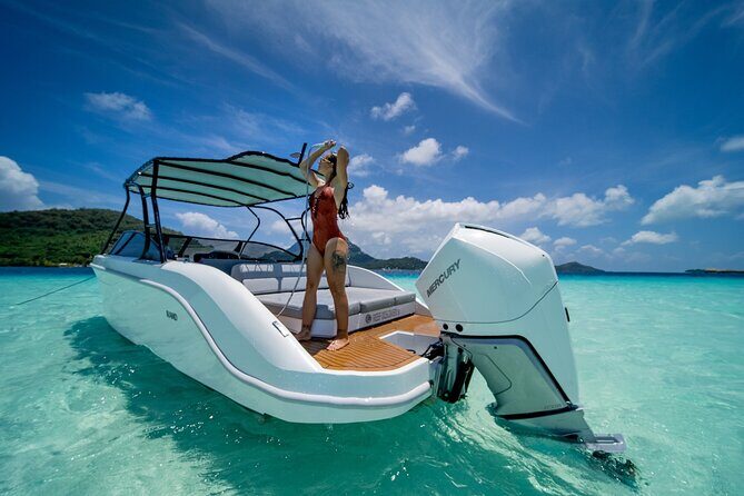 Reef Discovery Luxury Private Snorkeling Lagoon Tour - Exploring the Details of the Reef Discovery Private Snorkeling Tour