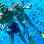 Reef Discovery Private Half Day Lagoon Tour - What Makes This Tour Stand Out
