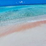 REEF ISLAND | private island | pink sand | natural swimming pools - The Details That Matter