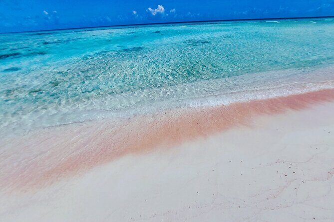 REEF ISLAND | private island | pink sand | natural swimming pools - The Details That Matter