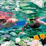 Reef Snorkel, underwater adventure in Puerto Morelos With Transportation & Lunch - Final Thoughts: Is It Worth It?