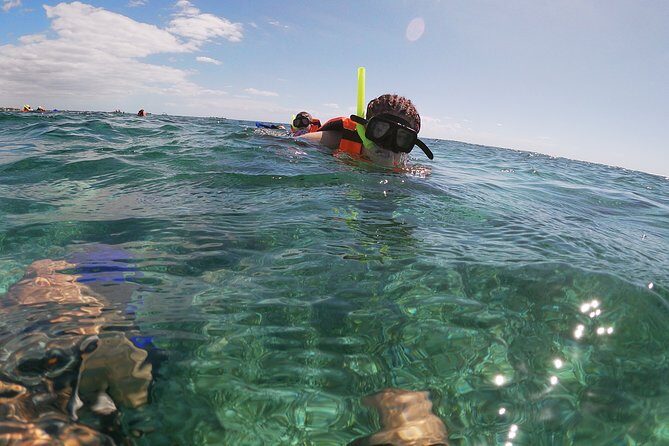 Reef Snorkeling with ATV, Zipline, Cenote that includes lunch and transportation - Who Should Book This Tour?