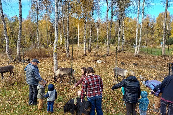Reindeer Meet and Feed - Talkeetna - Who Is This Tour Best For?