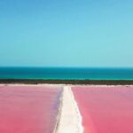 Relaxing Day at Las Coloradas Natural Pink Lake! From Cancun & Riviera Maya - Practical Details and Tips