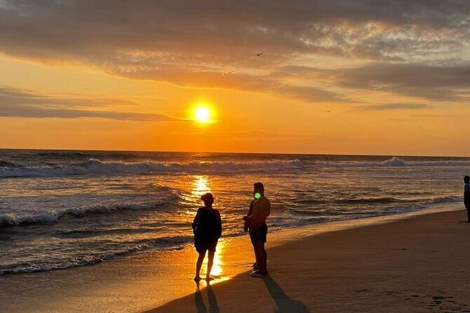 Release of Sea Turtles at Sunset - Who Should Consider This Tour?