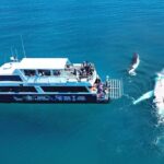 Remote K'gari (Fraser Island) & Whale Experience - What Sets This Tour Apart