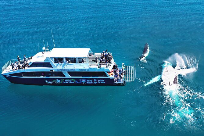 Remote K'gari (Fraser Island) & Whale Experience - What Sets This Tour Apart