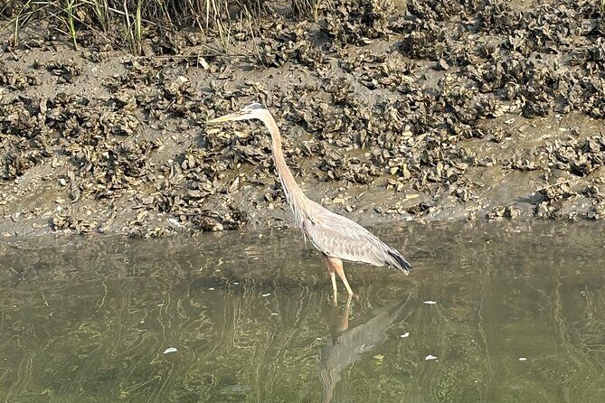 Rent Kayaks in Hilton Head Island - Meeting Point and Logistics