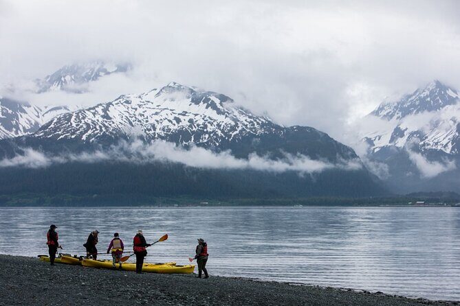 Resurrection Bay Waterfall And Rainforest Adventure - Why This Tour Offers Great Value