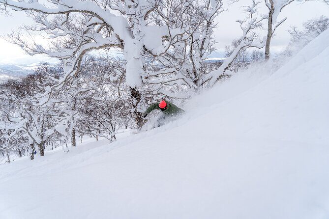Revelstoke Mountain Photography Tours - The Itinerary Breakdown