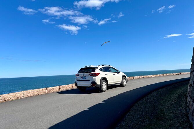 Ride in comfort - Who Would Love This Experience?