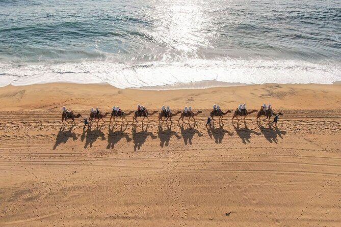 Ride the Wild Camel Safari and Off Road Rush - Frequently Asked Questions