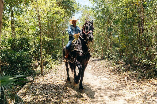 Rider Tour, Horseback Riding, ATV and Cenote - Transportation and Safety