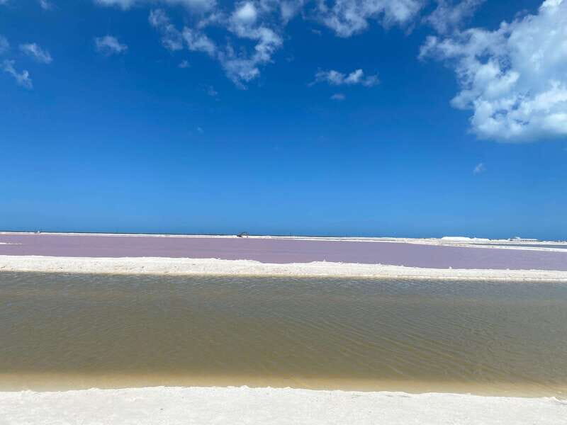 Rio Lagartos and Las Coloradas: EcoSafari Flamingo classic - Practical Considerations