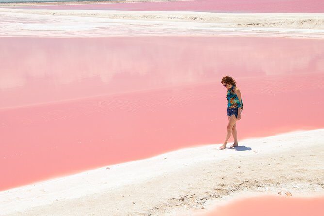 Rio Lagartos Biosphere + Coloradas Gorgeous Pink Lake! Transportation from Tulum - What Reviewers Say