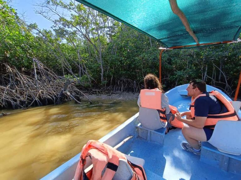 Rio Lagartos: Tour and Gastronomy - Exploring the Landscape and Its Unique Features