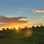 Rise and Shine 75 Minutes Early Morning Ride - Who Would Love This Tour?