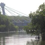 River Lizards Boat Tour for Flora and Fauna Observation - Practical Details and What to Expect