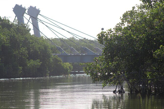 River Lizards Boat Tour for Flora and Fauna Observation - Practical Details and What to Expect