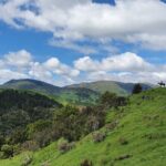 River Valley Stables - Burn The Breeze, Half Day Horse Ride For Riders - FAQ