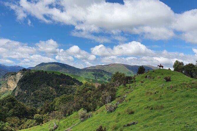 River Valley Stables - Burn The Breeze, Half Day Horse Ride For Riders - FAQ