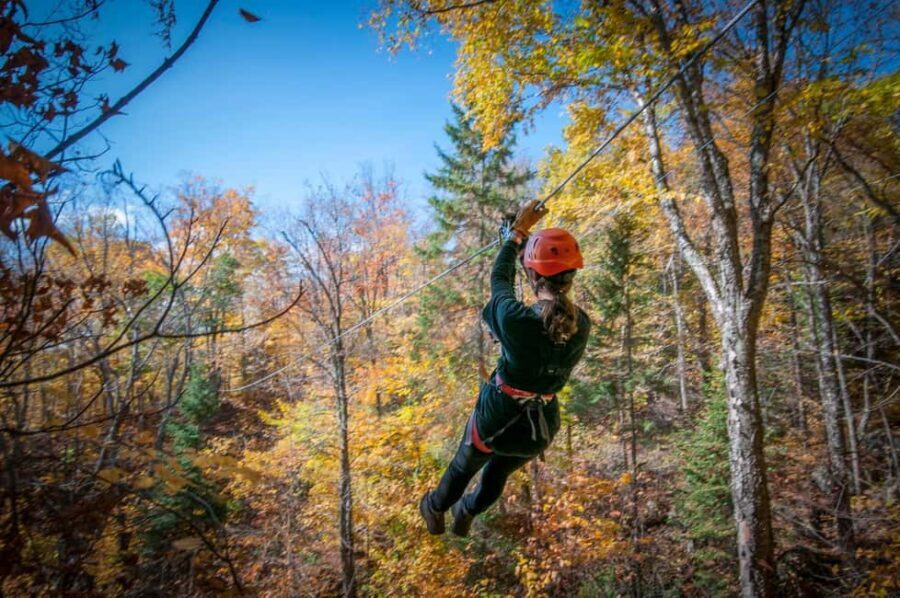 River Ziplines - Nature Tours - The Course: 18 Ziplines Through Forest and Over Rivers