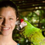 Riviera Maya: Croco Cun Interactive Zoo Tour - What Is the Croco Cun Interactive Zoo Tour?