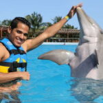Riviera Maya: Dolphin Encounter with Beach Club Access - Final Thoughts