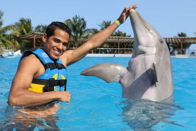 Riviera Maya: Dolphin Encounter with Beach Club Access - Final Thoughts