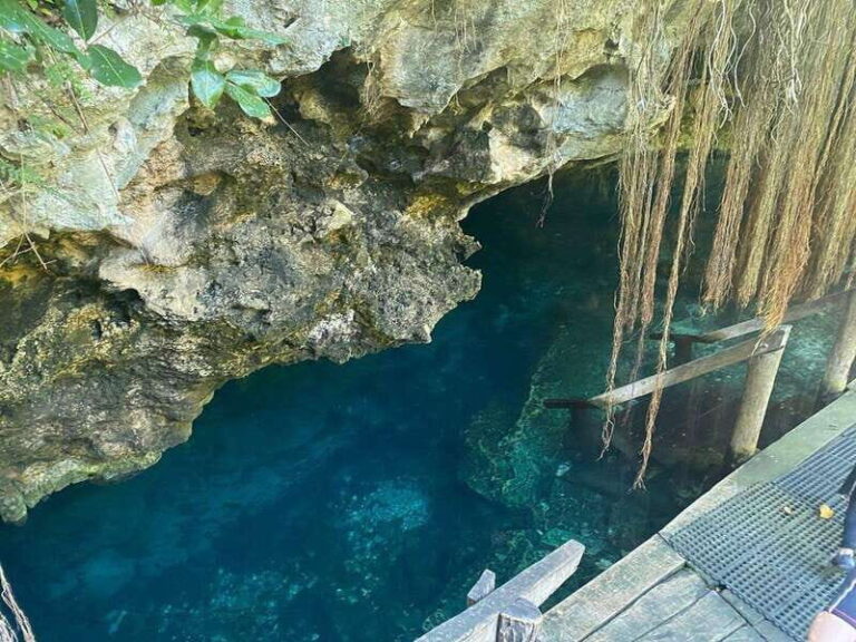 Riviera Maya: Half Day Jaguar Cenote and Zipline Adventure - Detailed Breakdown of the Itinerary