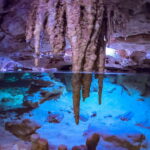 Riviera Maya: Kantun Chi Cenotes, Snorkel & Jungle Hiking - Key Points