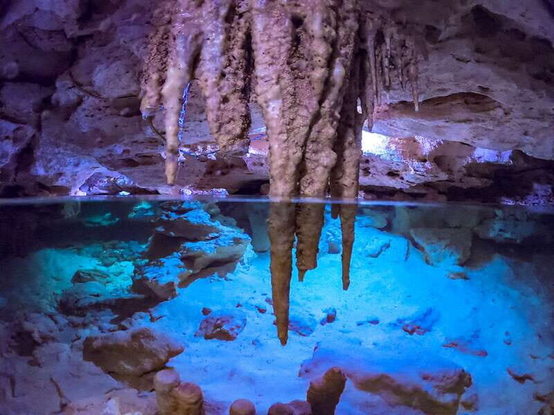 Riviera Maya: Kantun Chi Cenotes, Snorkel & Jungle Hiking - Key Points