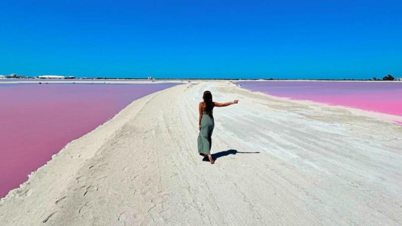Riviera Maya: Rio Lagartos & Las Coloradas Day Trip w/Lunch - What to Know Before You Go