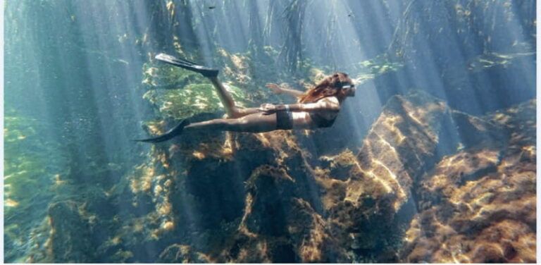 Riviera Maya: Snorkel Cenotes - What to Expect from the Riviera Maya Snorkel Cenotes Tour