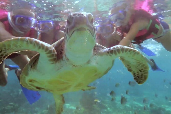 Riviera Maya Snorkeling - Final Thoughts: Is It Worth It?