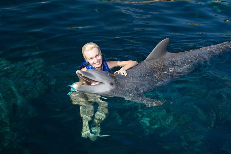 Riviera Maya: Swim with dolphins Interax - Practical Details and What’s Included