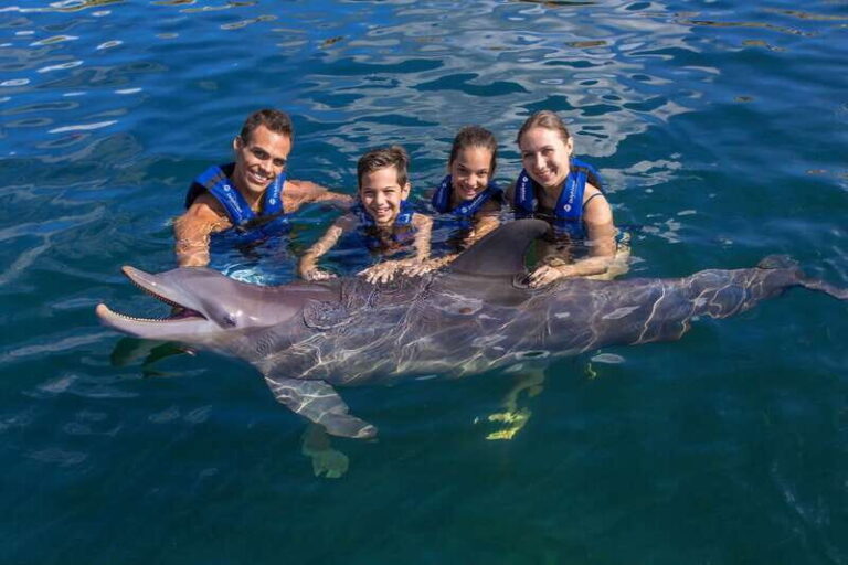 Riviera Maya: Swimming Experience with Dolphins - Detailed Breakdown of the Itinerary