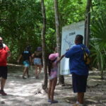 Riviera Maya: Tulum, Coba, Cenote, & Playa del Carmen Tour - The Complete Experience: A Deep Dive into the Tour