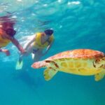 Riviera Maya Ultimate Adventure ATV's Snorkeling & Zip Lines - Final Thoughts