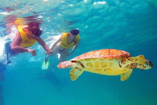 Riviera Maya Ultimate Adventure ATV's Snorkeling & Zip Lines - Final Thoughts