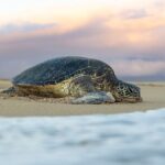 Road to Hana Halfway and Haleakala National Park - What’s Included and What to Expect